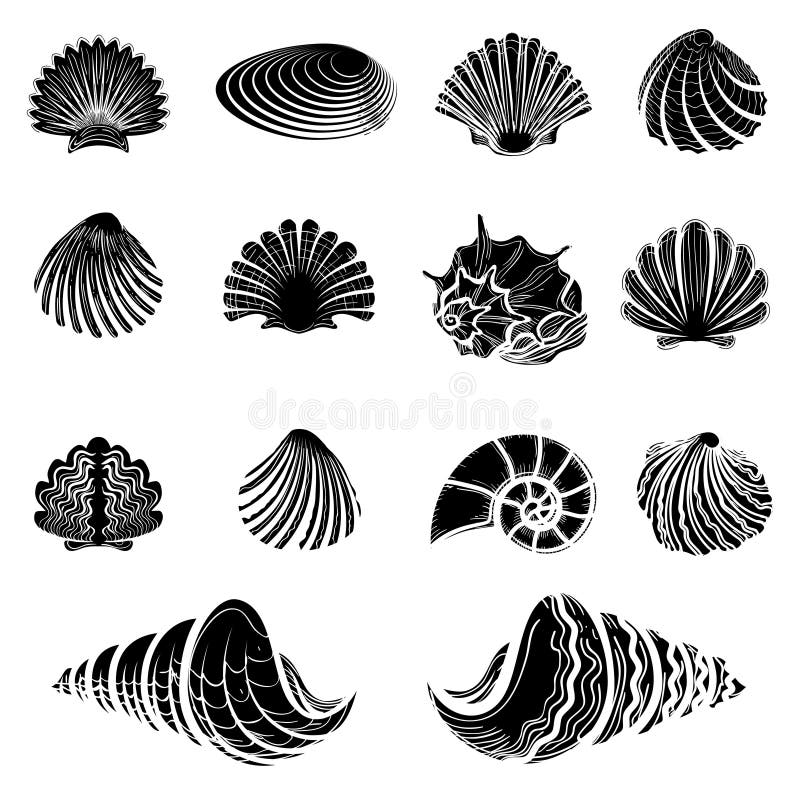 Black Sea Shells Silhouettes Collection Stock Vector - Illustration of ...