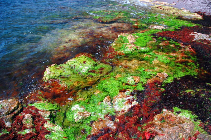 Black Sea Shore in Colors #4 Stock Image - Image of golf, coastal: 915951