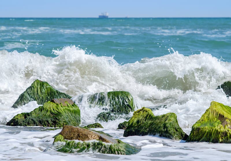 Black sea splashes 2 stock photo. Image of nature, splashing - 90211500