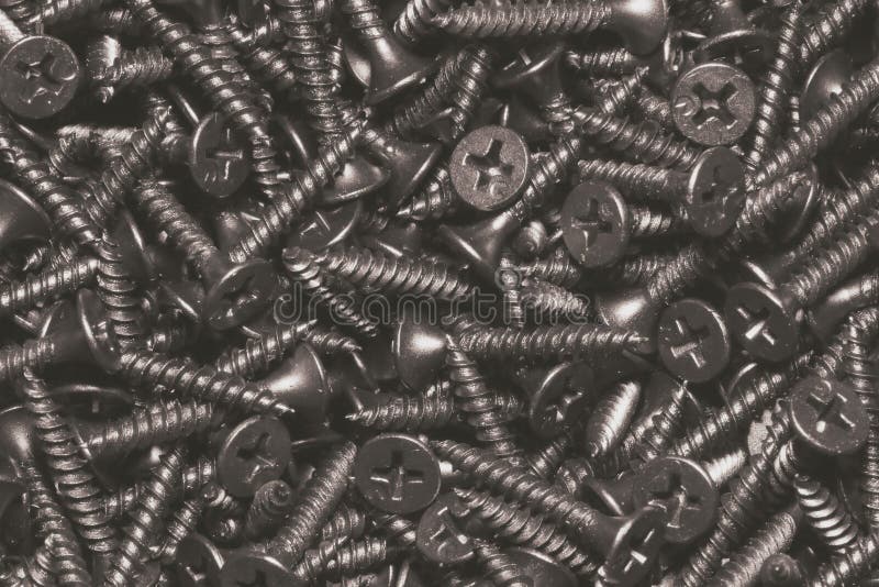 Screws for Construction Work. Stock Photo - Image of professional ...