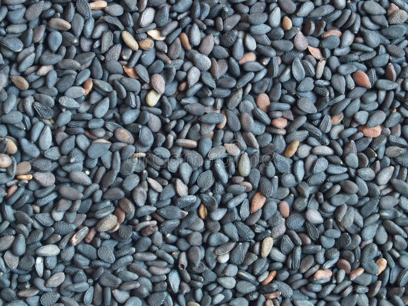 Black sesame seeds stock photo. Image of sesame, cuisine - 12962486