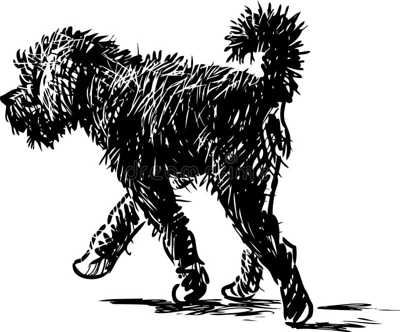 A Black Shaggy Dog Goes on a Stroll Stock Vector - Illustration of ...