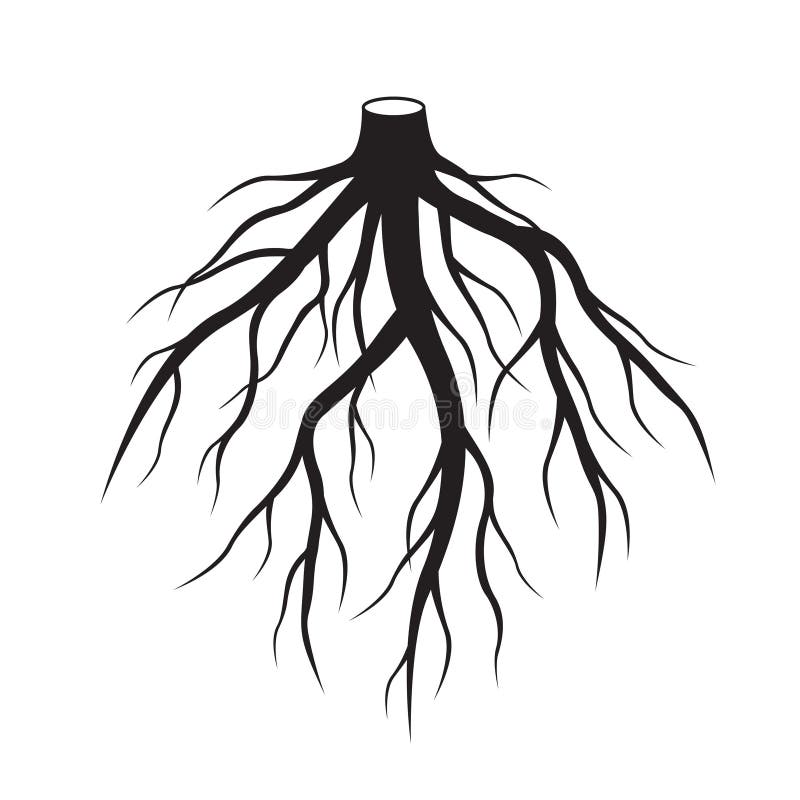 Tree And Roots. Vector Illustration. Stock Illustration - Illustration ...