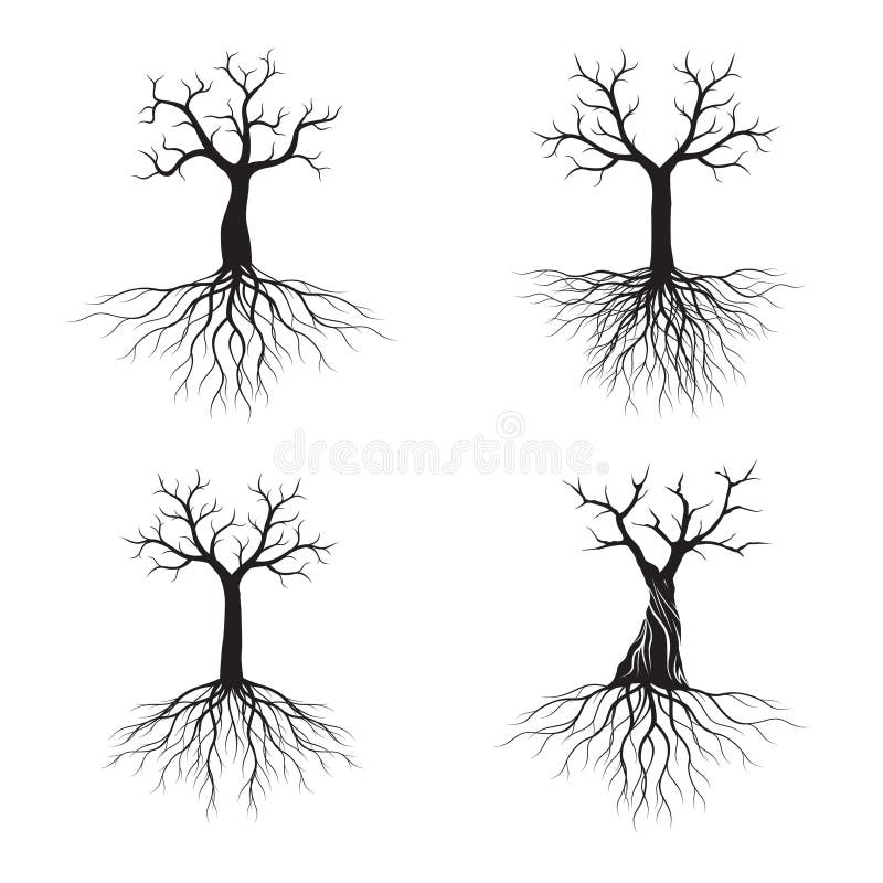 Black Shape of Tree with Leaves and Roots. Vector Outline Illustration ...