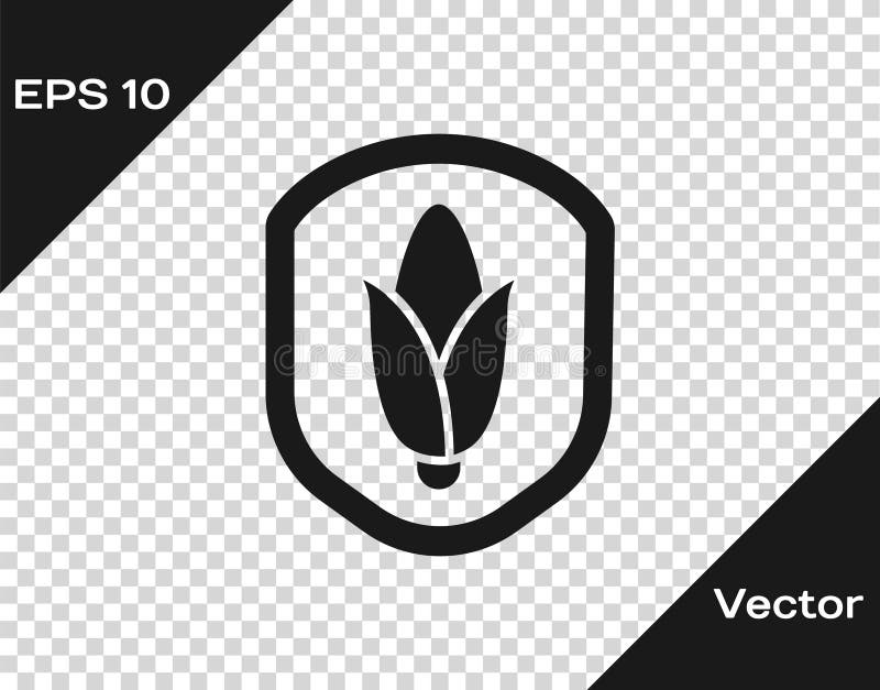 Black Shield Corn Icon Isolated on Transparent Background. Security ...