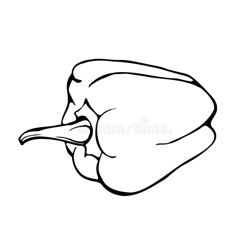 Black Silhouette of Bell Pepper. Drawing of Poison Stock Vector ...