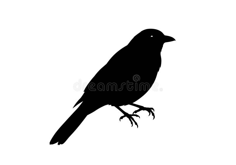 Bird sitting silhouette stock vector. Illustration of silhouette ...