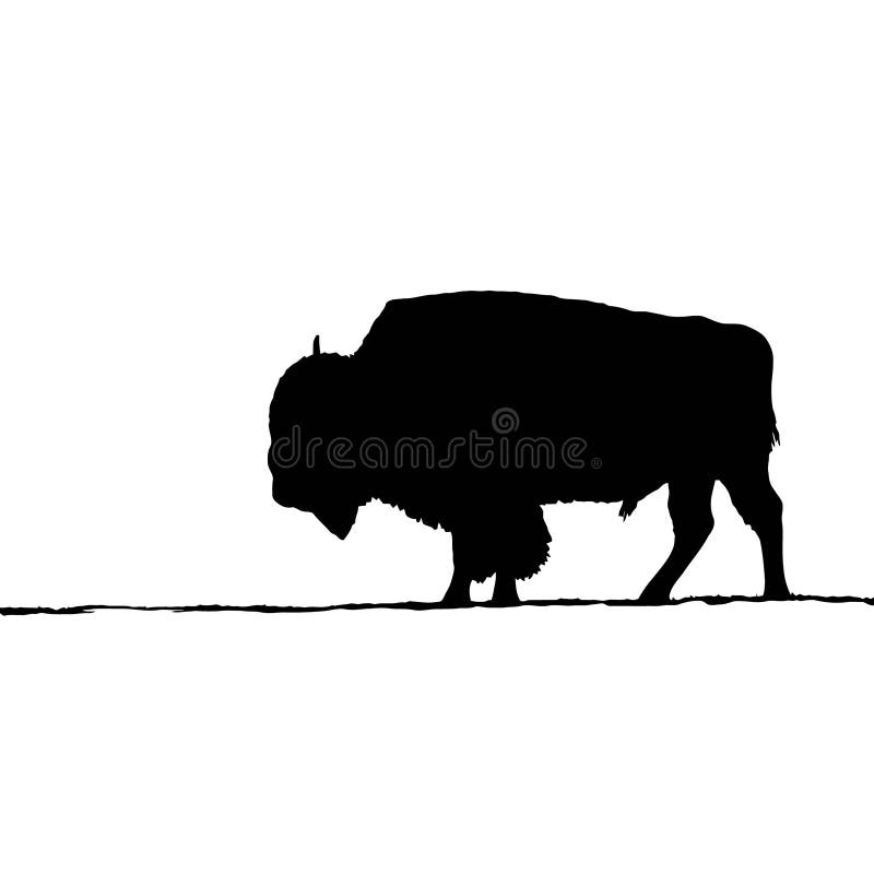 Black Silhouette of Bison Walking on White Background Stock Vector ...