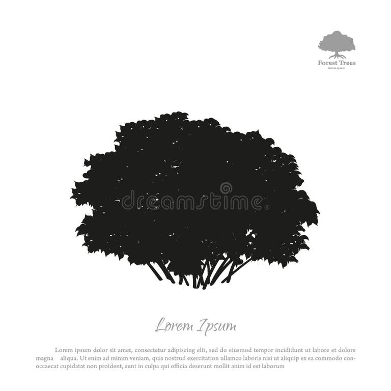 Bush Trees Stock Illustrations – 37,080 Bush Trees Stock Illustrations ...