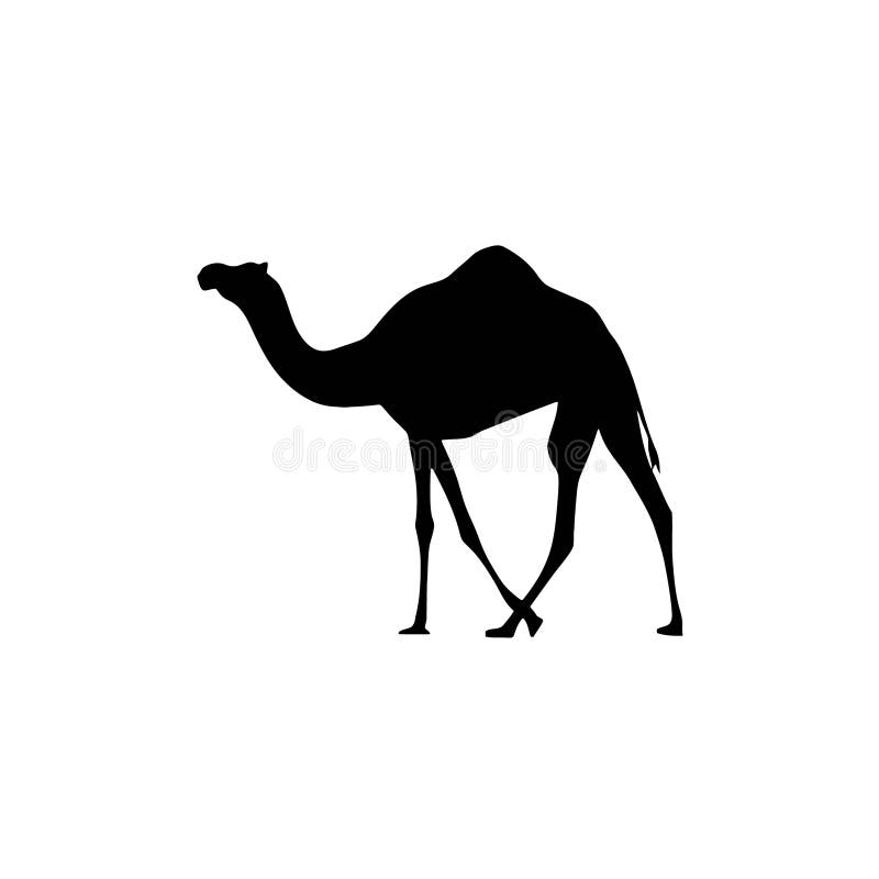 Black Silhouette of a Camel Walking Side Profile White Stock Vector ...