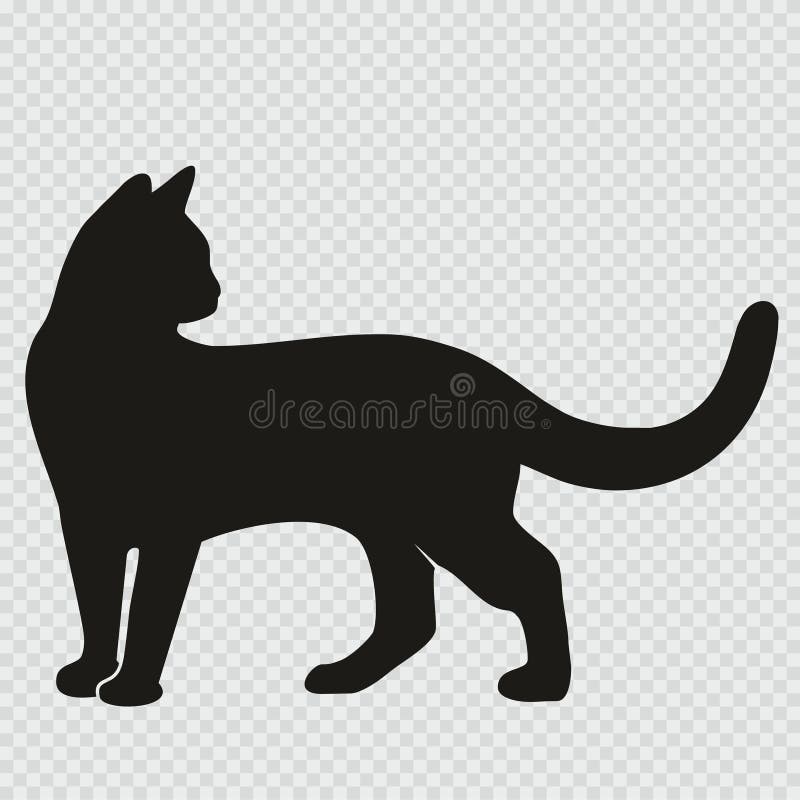 Cat Drawing Transparent Background Stock Illustrations – 488 Cat ...