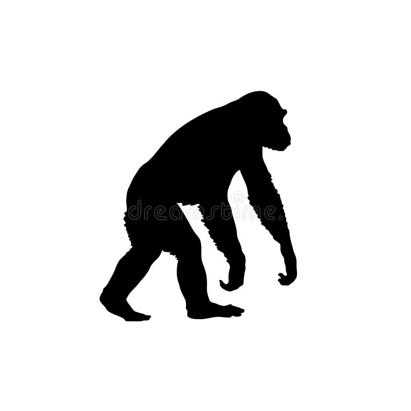 Side Profile Monkey Stock Illustrations – 395 Side Profile Monkey Stock ...