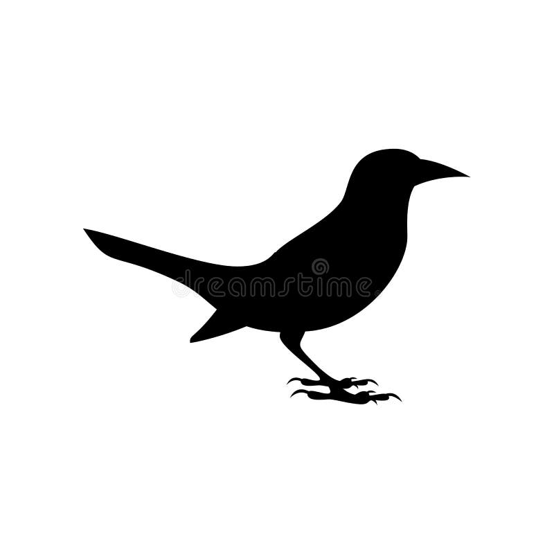 Common Grackle Stock Illustrations – 11 Common Grackle Stock ...