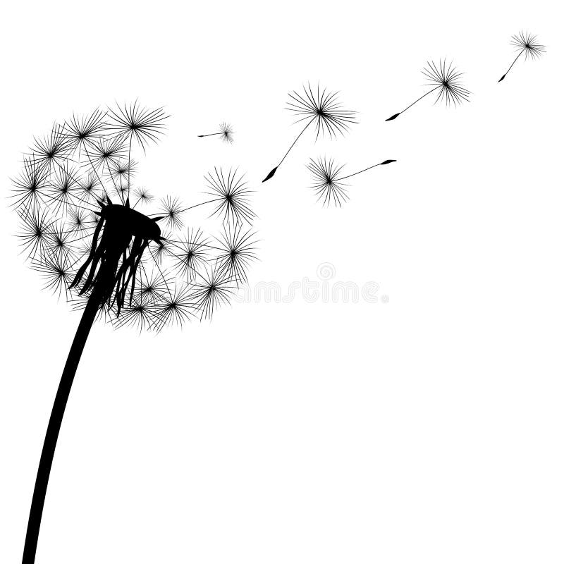 Dandelion Black White Stock Illustrations – 4,977 Dandelion Black White ... Dandelion Black White Stock Illustrations – 4,977 Dandelion Black White ...