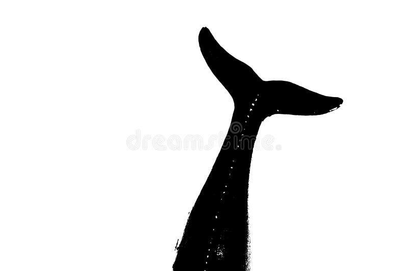Black Silhouette of Fish Tail on White Background Stock Photo - Image ...