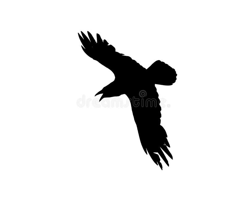 Flying Crow Outline