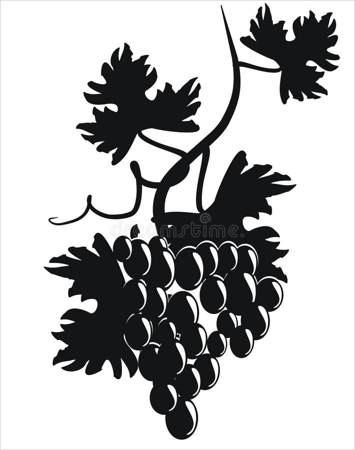 Black Silhouette of Grapes. Stock Illustration - Illustration of ...