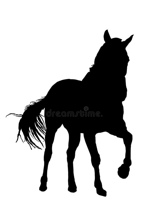 Black Silhouette of a Horse Stock Illustration - Illustration of vector ...