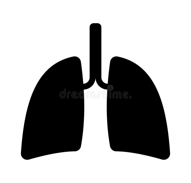 Black Silhouette of Human Raspiratory System Stock Vector ...