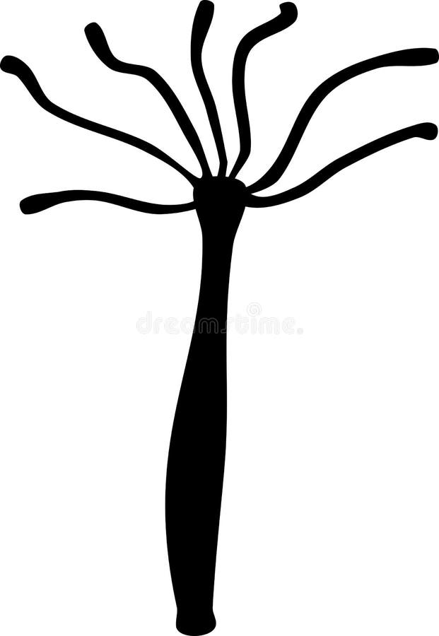 Hydra Stock Illustrations – 498 Hydra Stock Illustrations, Vectors ...