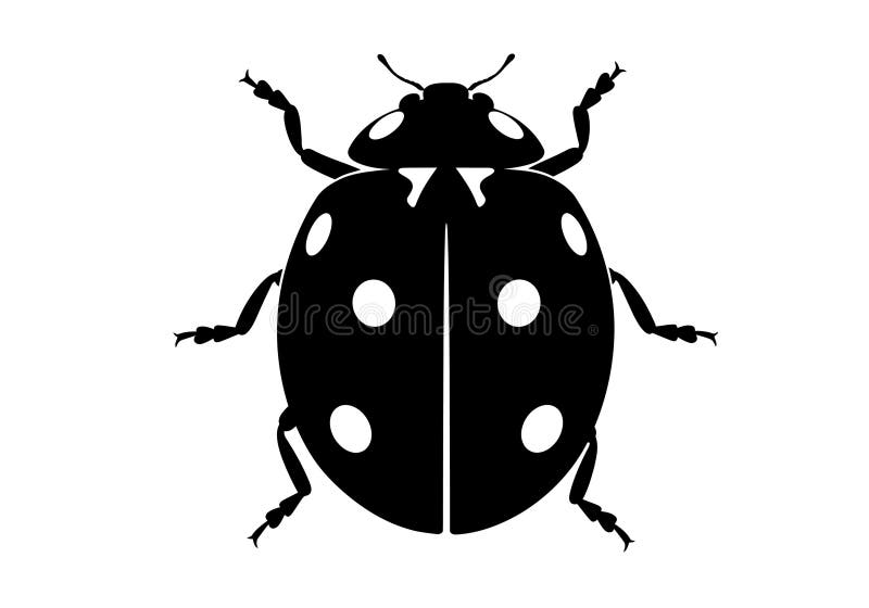 Ladybug Silhouette Clip Art Stock Vector - Illustration of body, animal ...