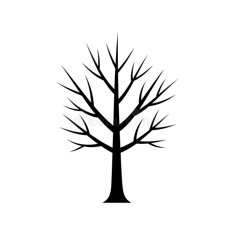 Black Silhouette of a Leafless Tree with Intricate Branches in ...
