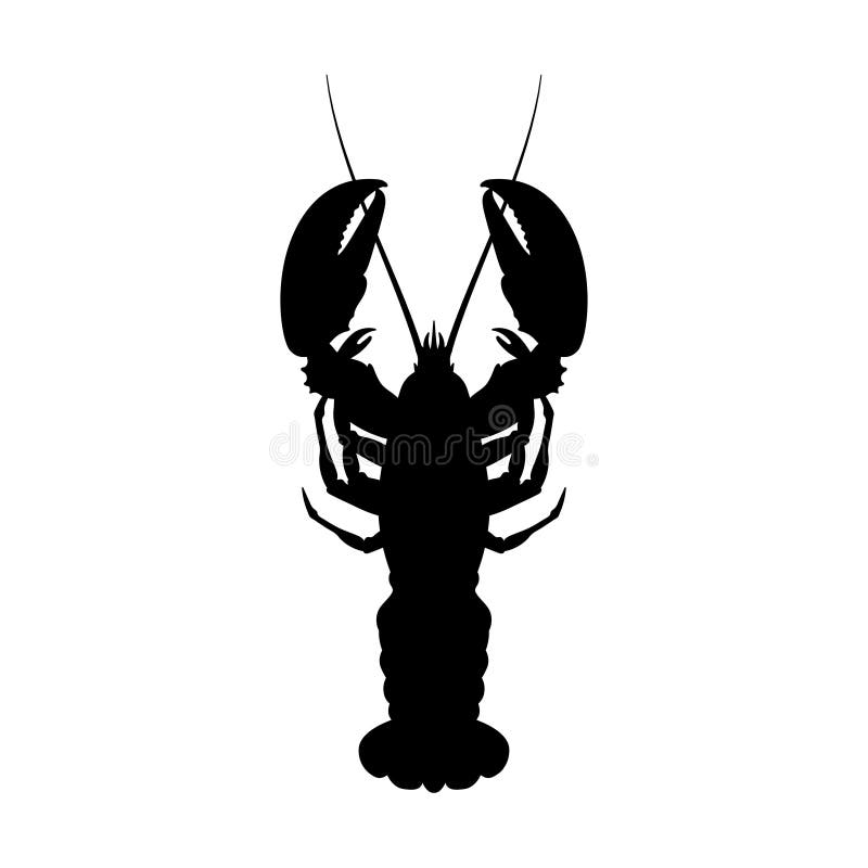 Black Silhouette of Lobster. Top View. Restaurant Dish. Seafood Stock ...