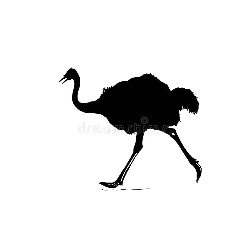 Black Silhouette of Ostrich Running White Background Stock Vector ...