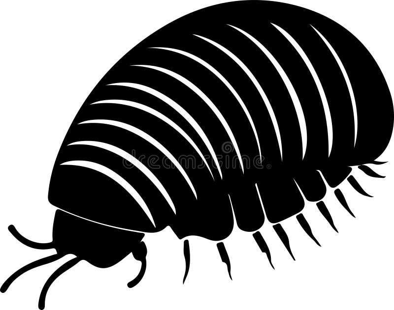 Pill Bug Stock Illustrations – 414 Pill Bug Stock Illustrations ...