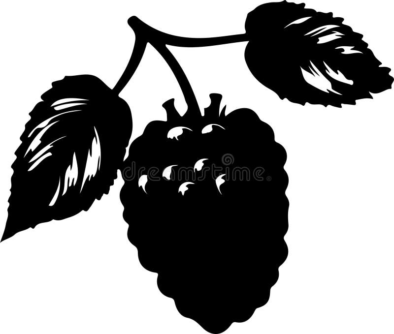 Raspberry Black Silhouette Generative Ai Stock Vector - Illustration of ...