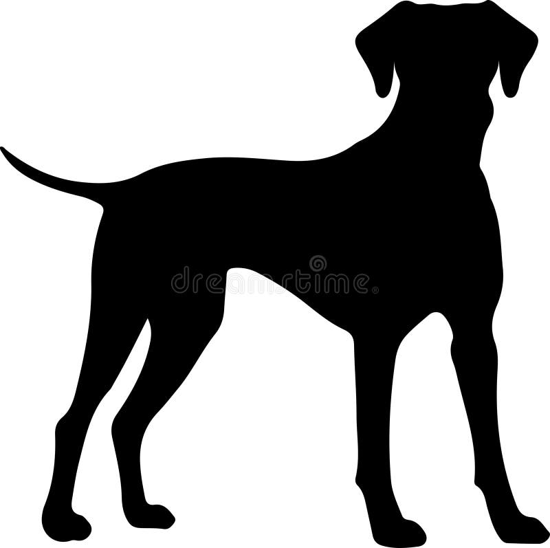 Rhodesian Ridgeback Outline Silhouette Generative Ai Stock Vector ...