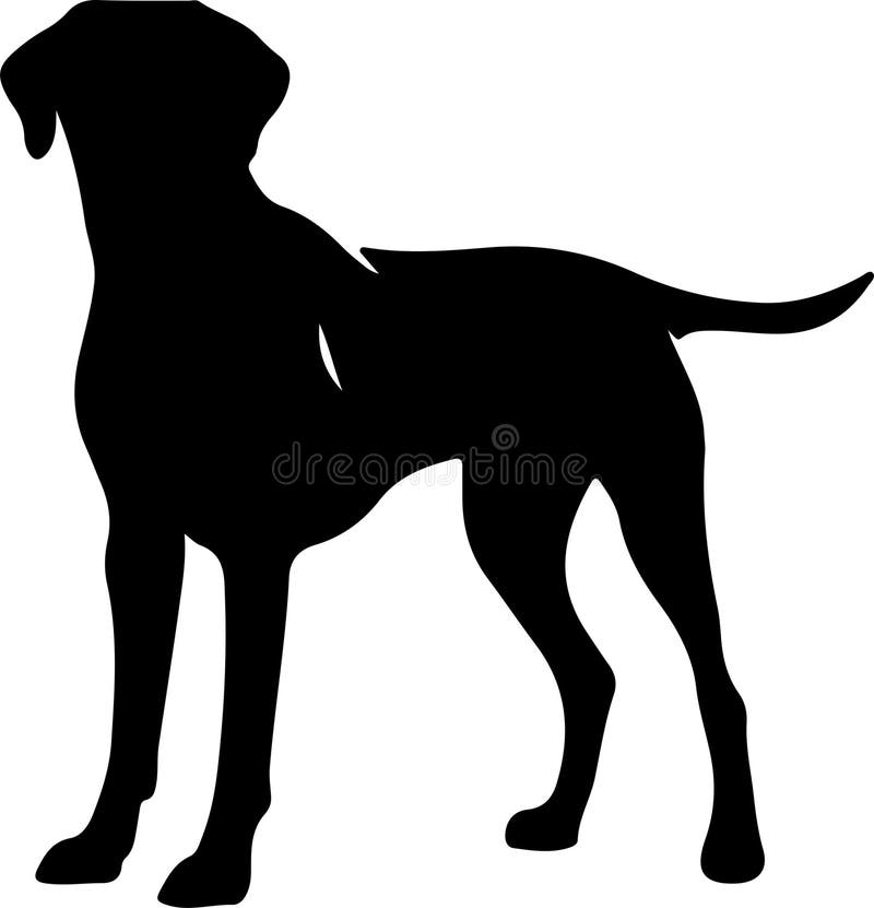 Rhodesian Ridgeback Outline Silhouette Generative Ai Stock Vector ...