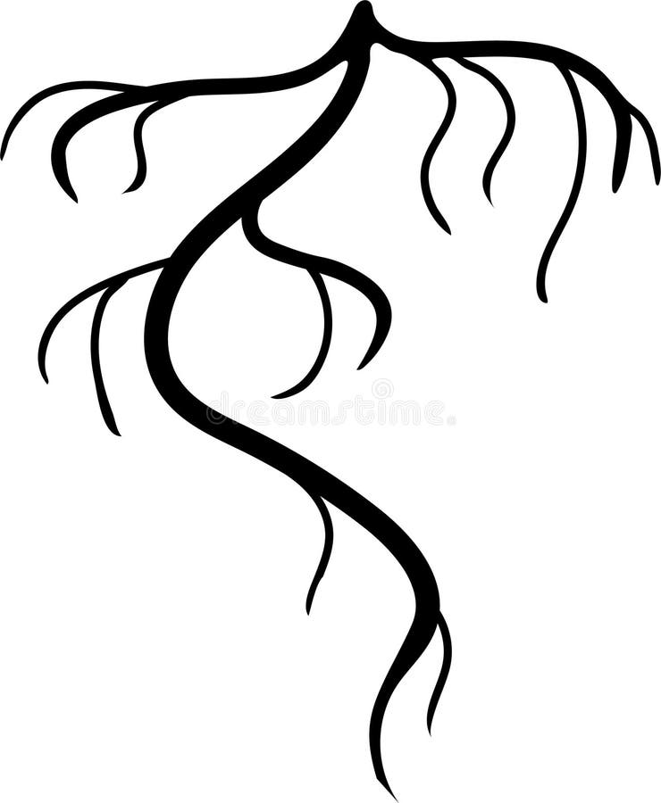 Tap Root Stock Illustrations – 175 Tap Root Stock Illustrations ...