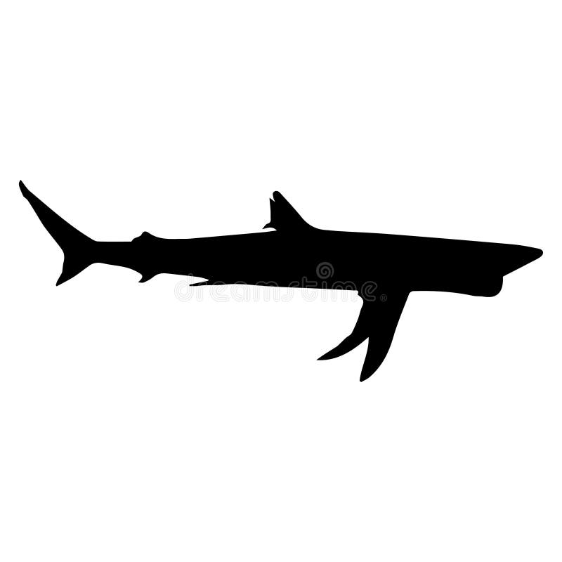 Shark Profile Stock Illustrations – 260 Shark Profile Stock ...