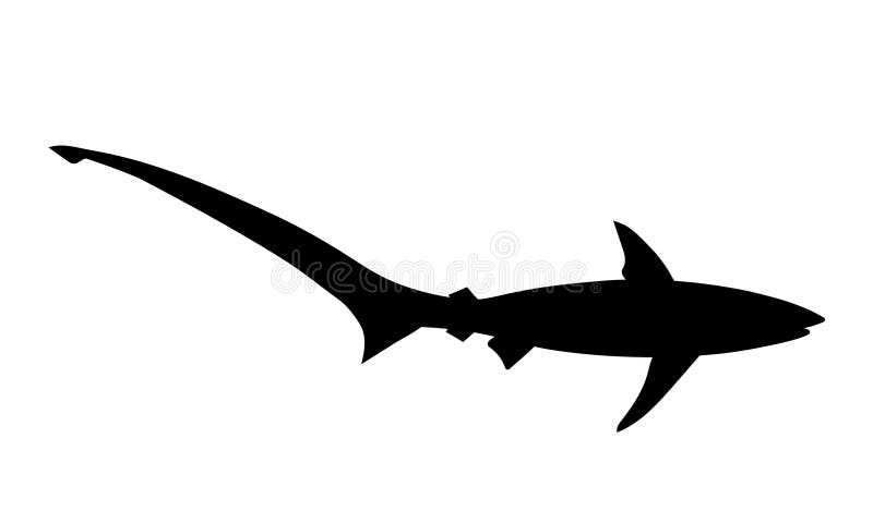 Black Silhouette of Shark. Vector Image. Stock Illustration ...