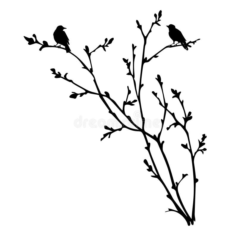 Black Silhouette of Spring Branches and Birds. Spring Tree Stock Vector ...