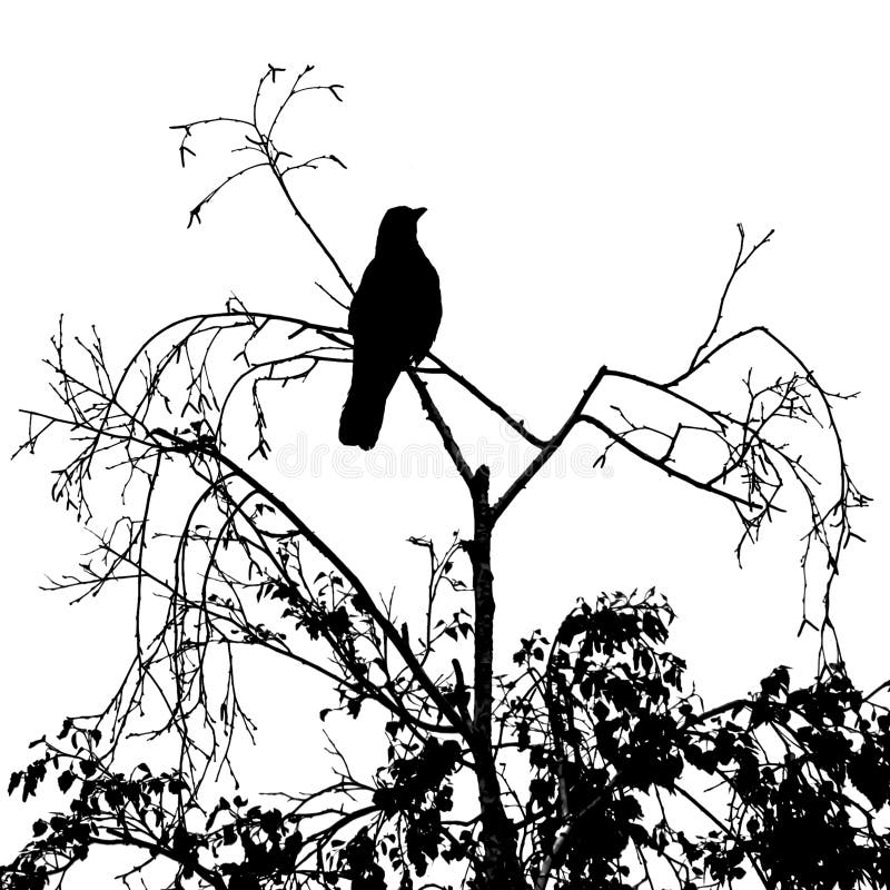 Black Silhouette of a Tree with a Bird on a Branch Stock Image - Image ...