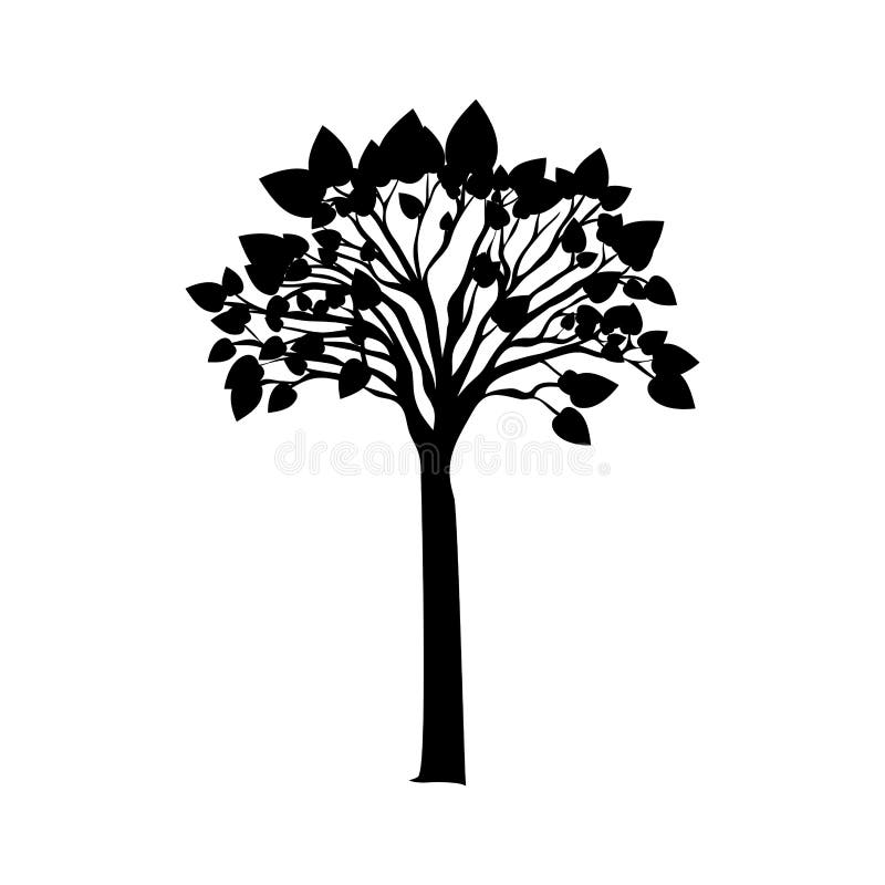 Black Silhouette Tree with Leafy Branches Stock Illustration ...
