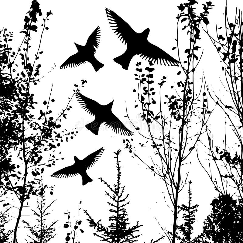Black Silhouette of Trees with Flying Birds. Vector Illustration Stock ...