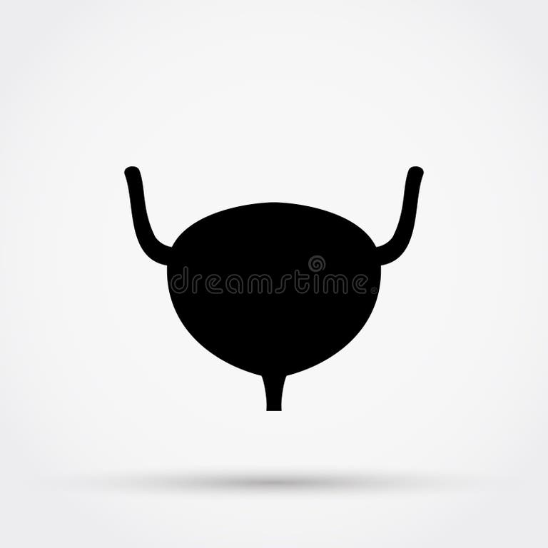 Black Silhouette of Urinary Bladder. Stock Vector - Illustration of ...