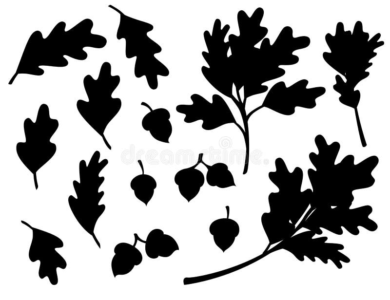 Acorn Tree Cycle Stock Illustrations – 46 Acorn Tree Cycle Stock ... Acorn Tree Cycle Stock Illustrations – 46 Acorn Tree Cycle Stock ...