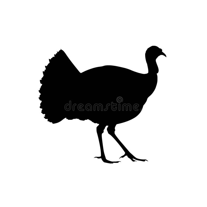 Wild Turkey Side View Stock Illustrations – 117 Wild Turkey Side View ...