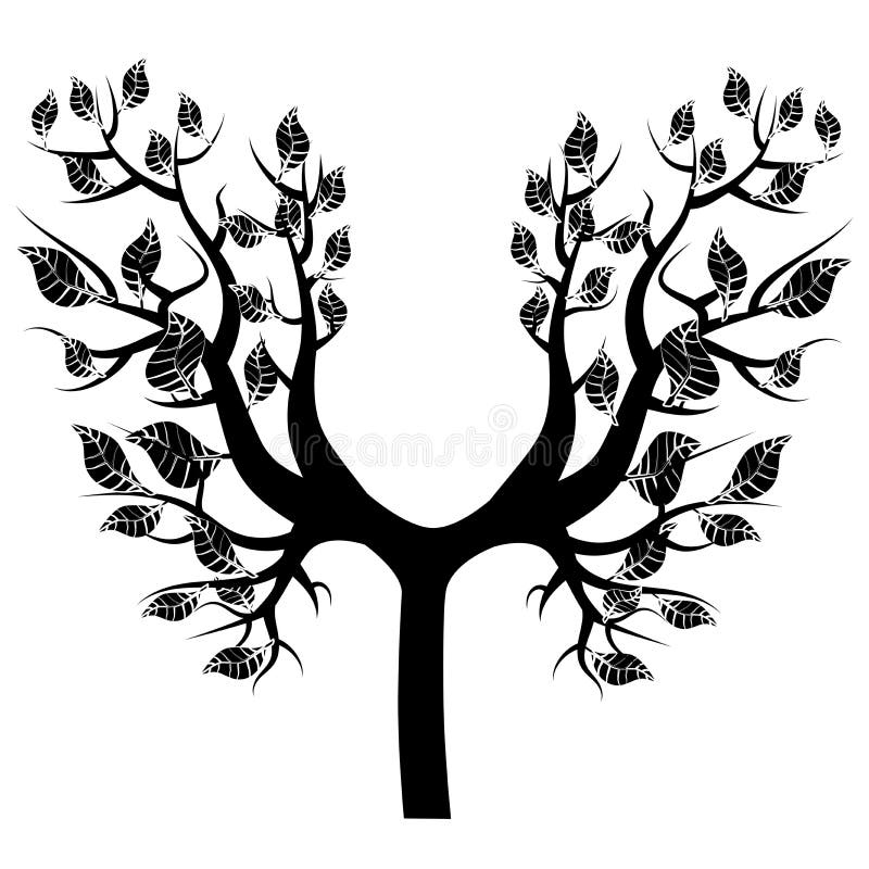 Black Silhouette of Young Symmetrical Tree with Leaves Isolated on ...