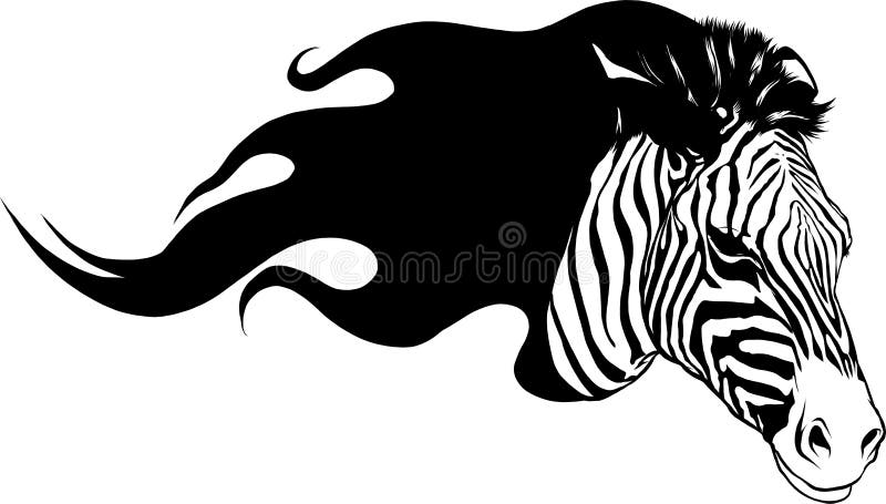 Zebra flame stock vector. Illustration of animal, mammal - 11397362