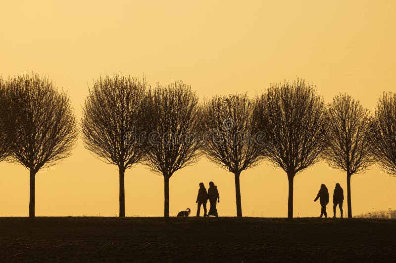 Black Silhouettes Against the Colourful Background of the Setting Sun ...
