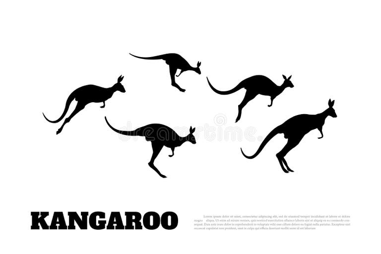 Wallaby Stock Illustrations 4 215 Wallaby Stock Illustrations