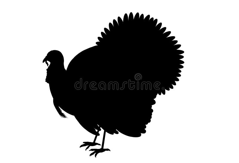 A Black Silhouettes of a Male Turkeys Stock Illustration - Illustration ...
