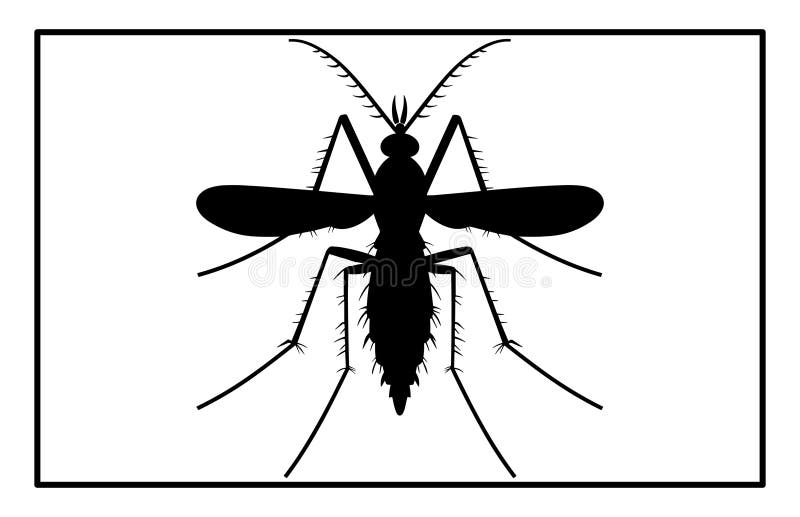 Black Silhouettes of Mosquito in Different Poses Isolated on White ...