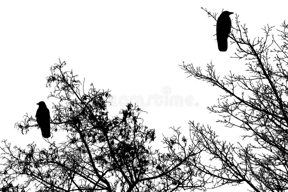 Black Silhouettes of Trees with Two Crows on Them Stock Image - Image ...