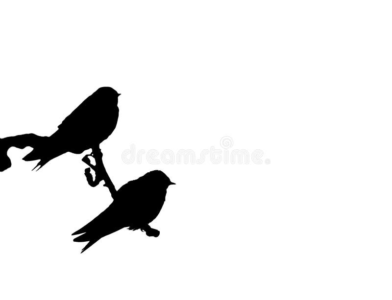 Black Silhouettes of Two Birds on a Branch on White Background Stock ...